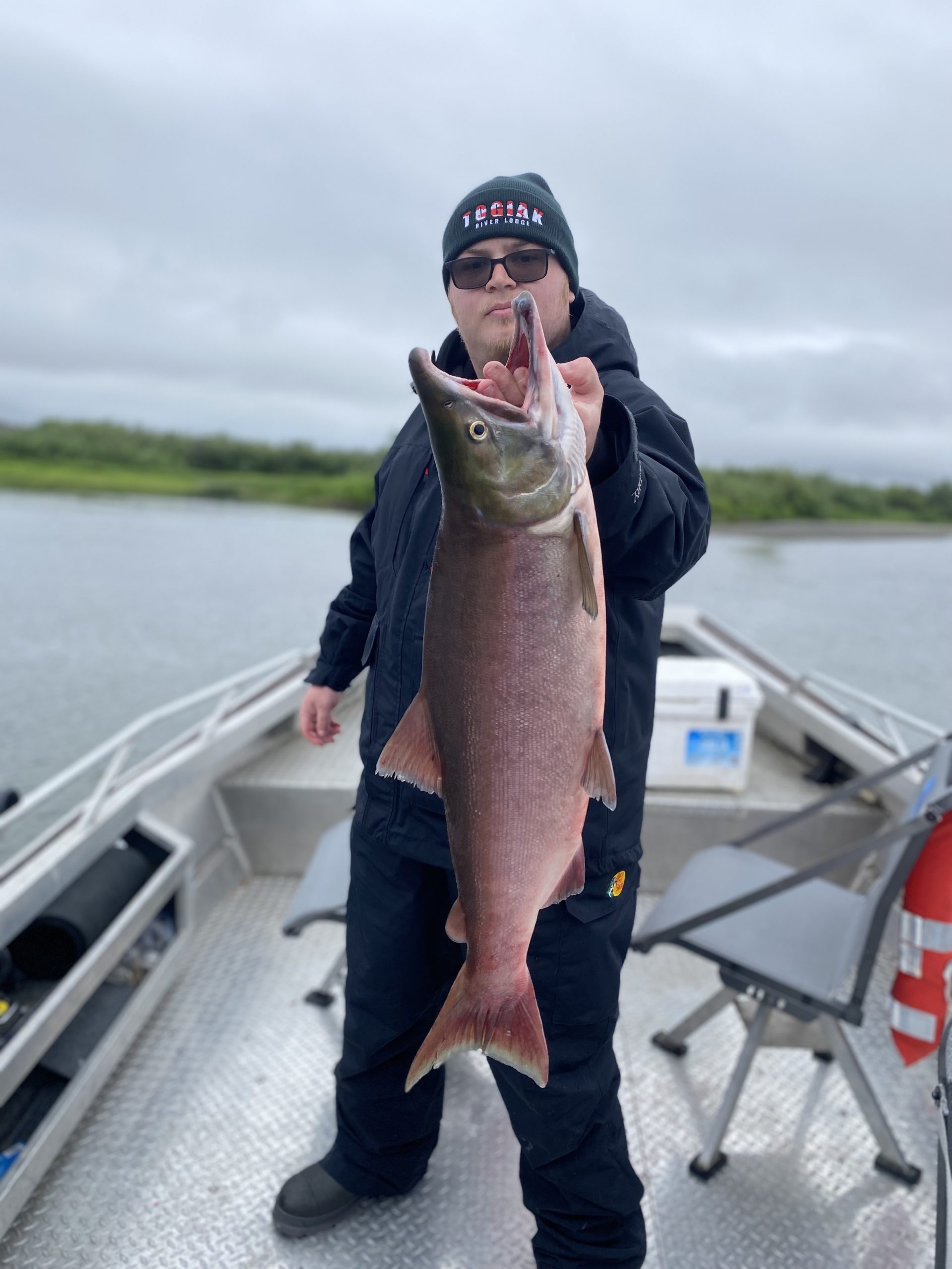 Alaskan Sockeye (Red) Salmon - Togiak River Lodge