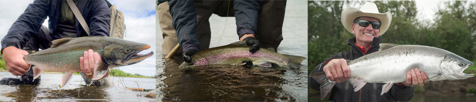 Alaska Fishing Trip Packages - Togiak River Lodge