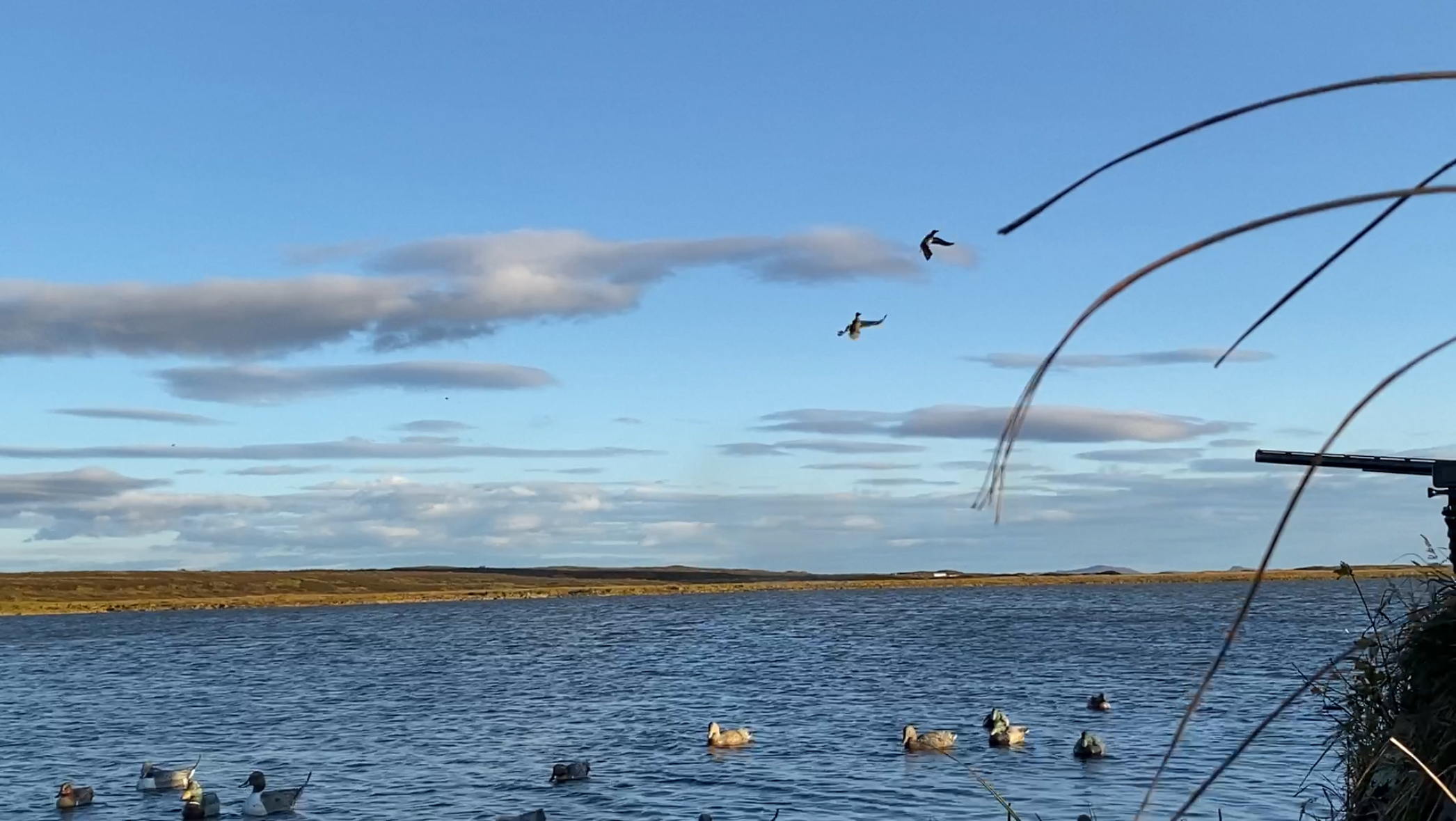 Alaska waterfowl hunting | Togiak River Lodge