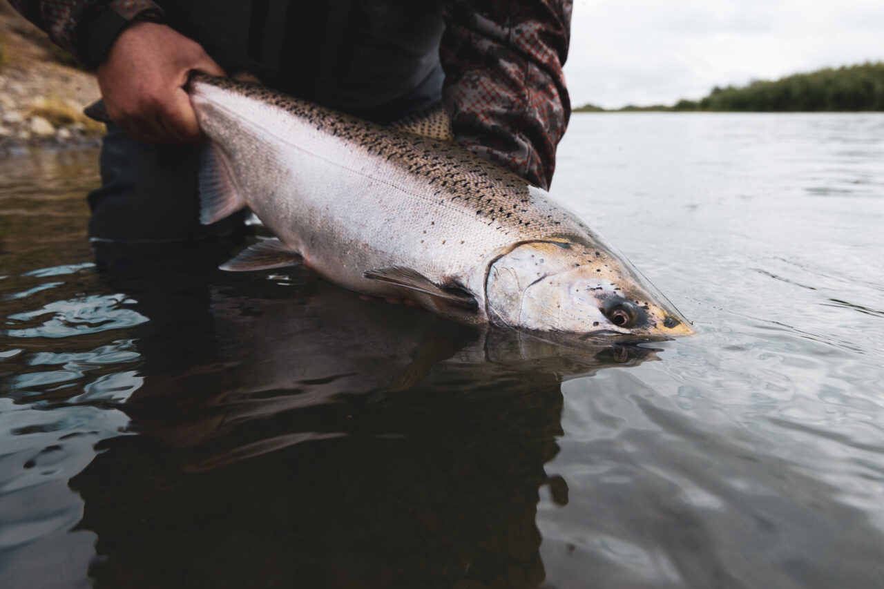 Alaska Fishing Trip Packages - Togiak River Lodge